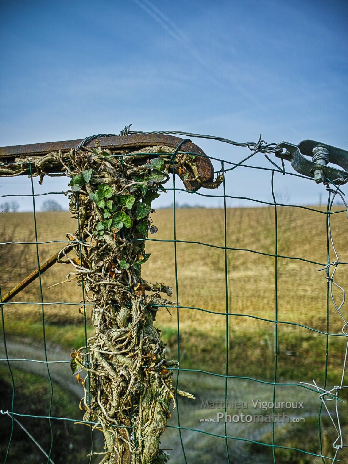 Série | La nature reprend ses droits #1 | Photomatth Matthieu Vigouroux ... Série | La nature reprend ses droits #1 | Photomatth Matthieu Vigouroux ...